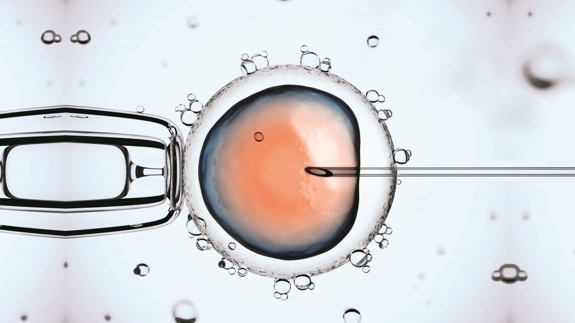 Clínica de Fertilidad en Murcia ※ IMFER